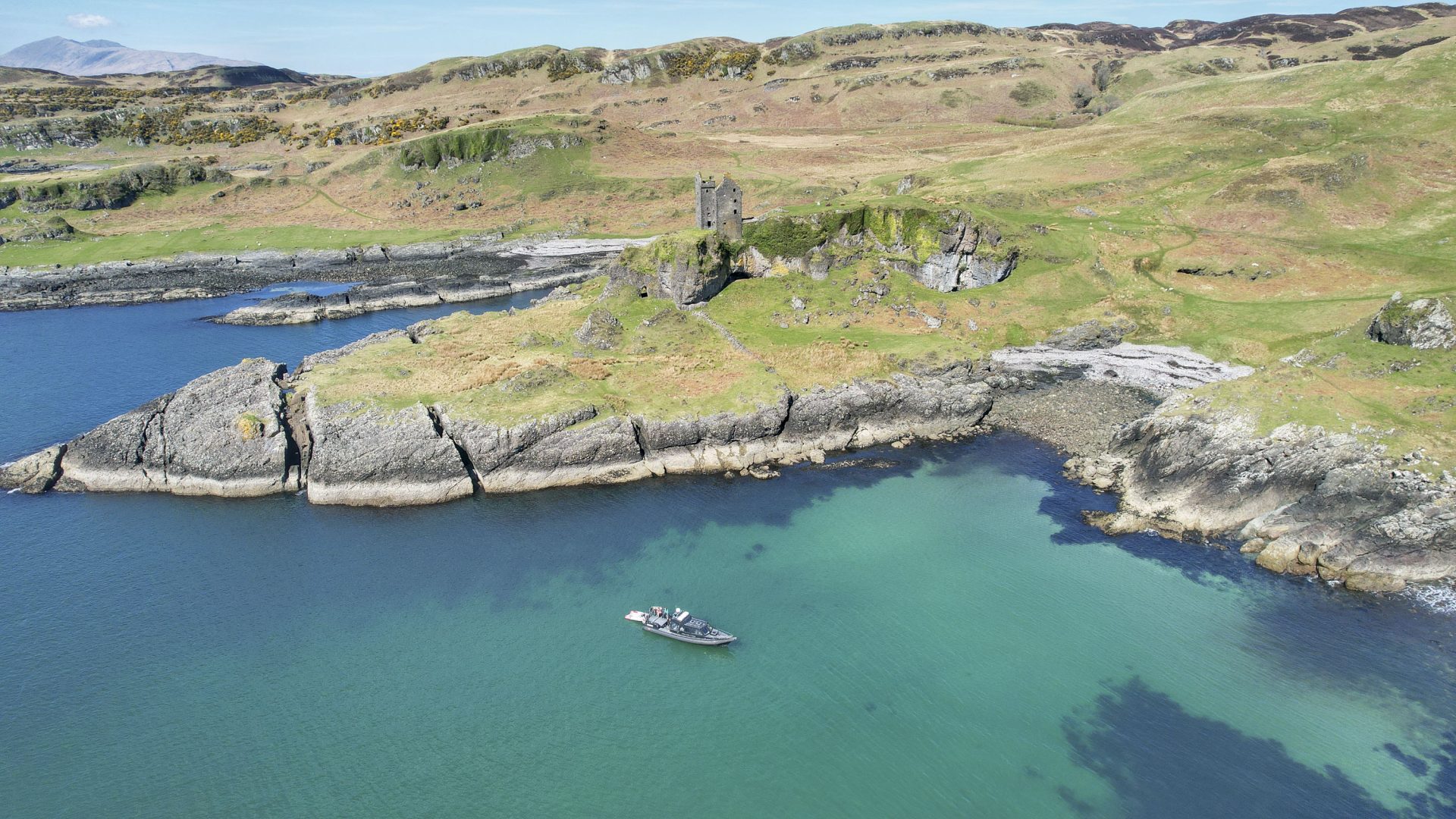 Spring Adventure & Wildlife Tour - Basking Shark Scotland