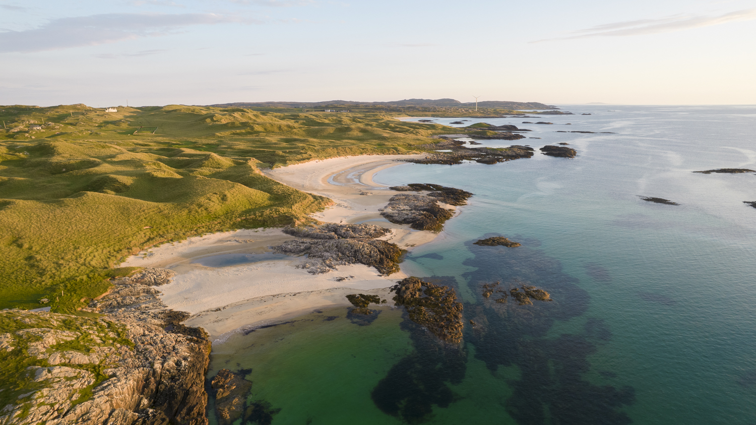 3 Day Basking Shark & Wildlife Tour - Basking Shark Scotland