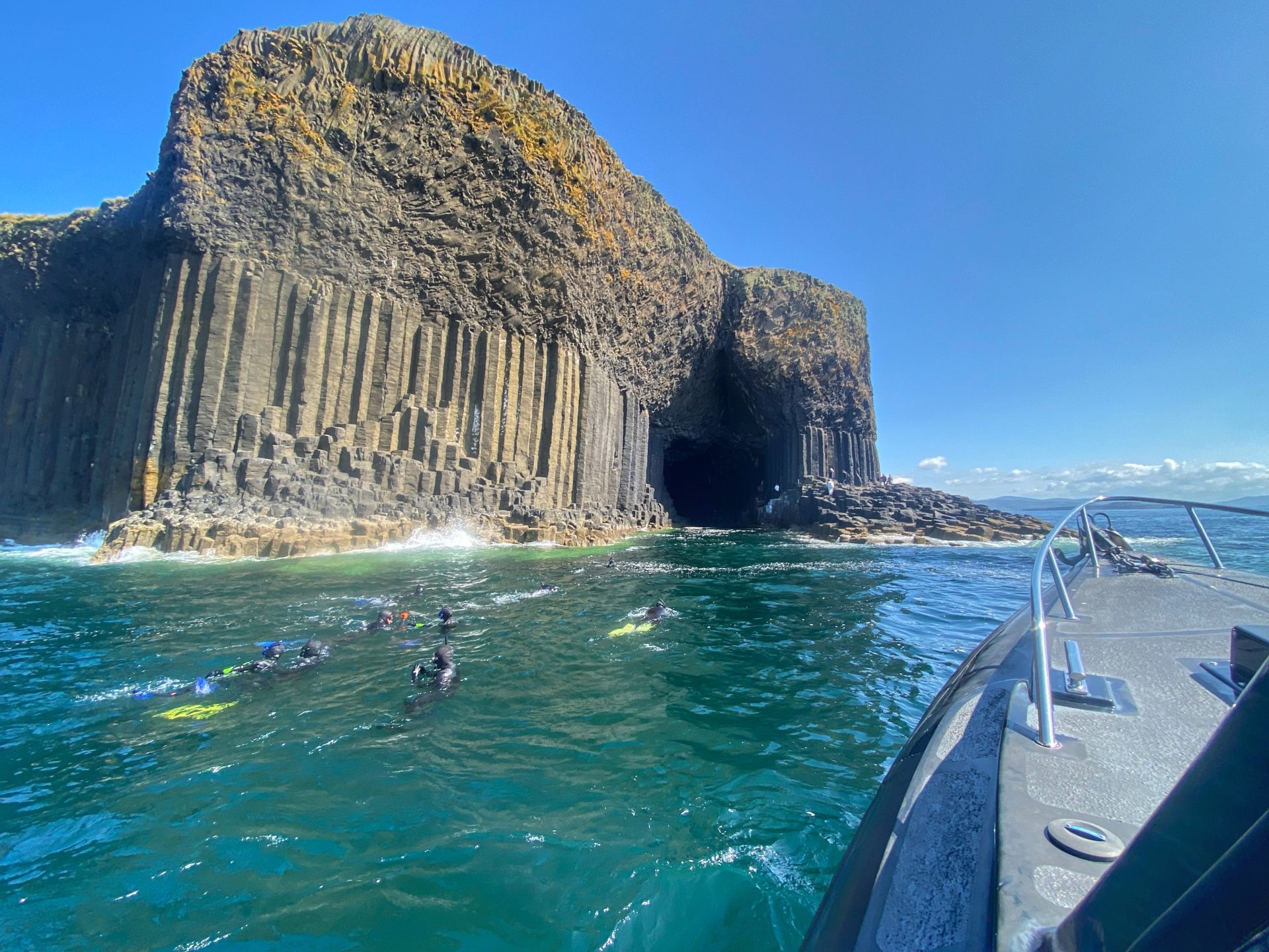 3 Day Basking Shark & Wildlife Tour - Basking Shark Scotland