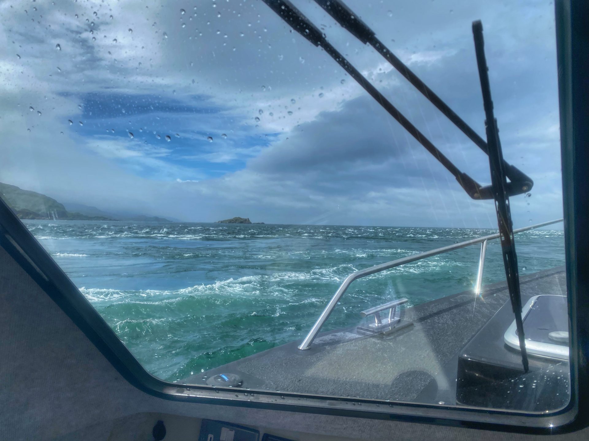 Spring Adventure & Wildlife Tour - Basking Shark Scotland