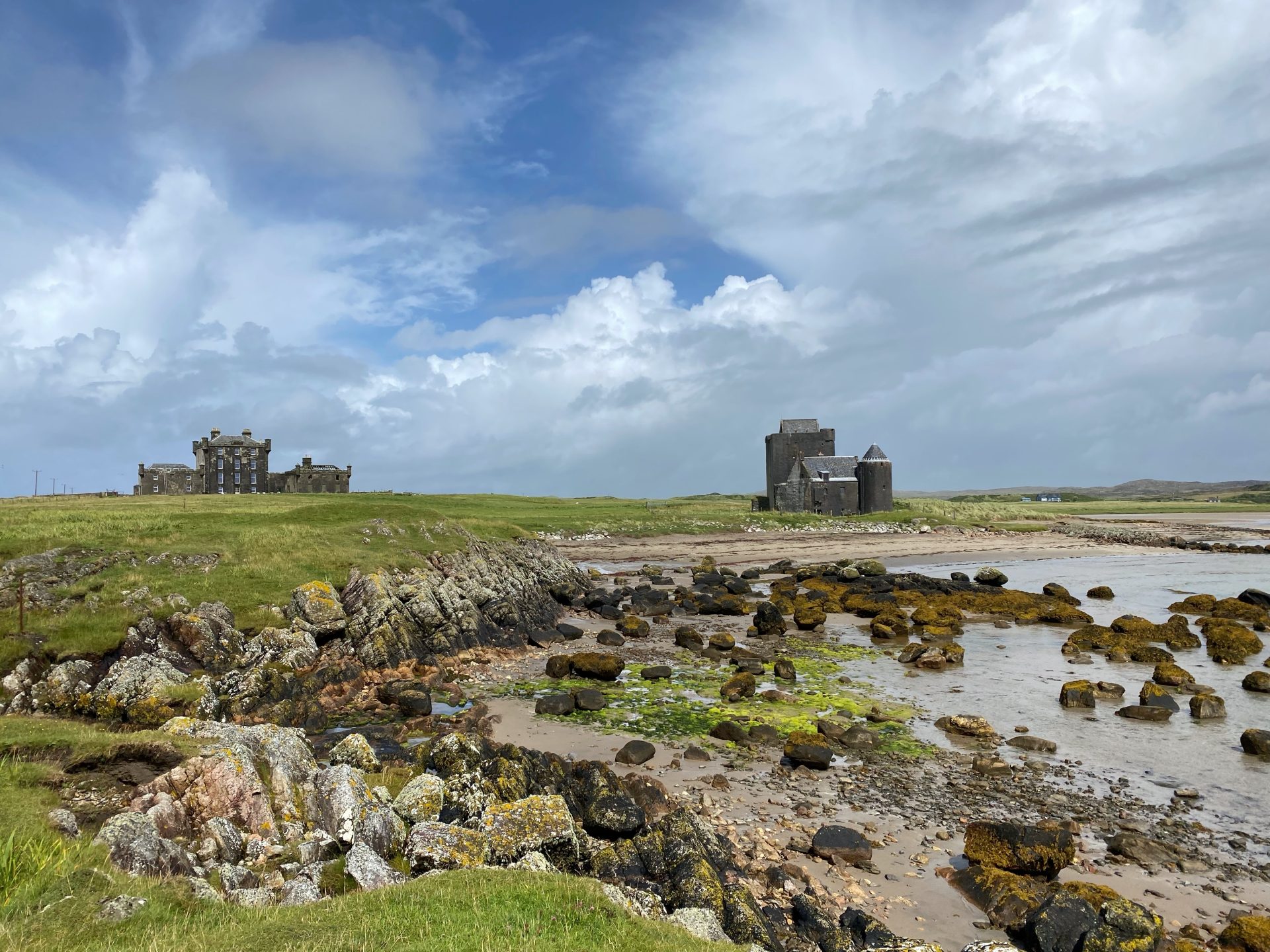3 Day Basking Shark & Wildlife Tour - Basking Shark Scotland