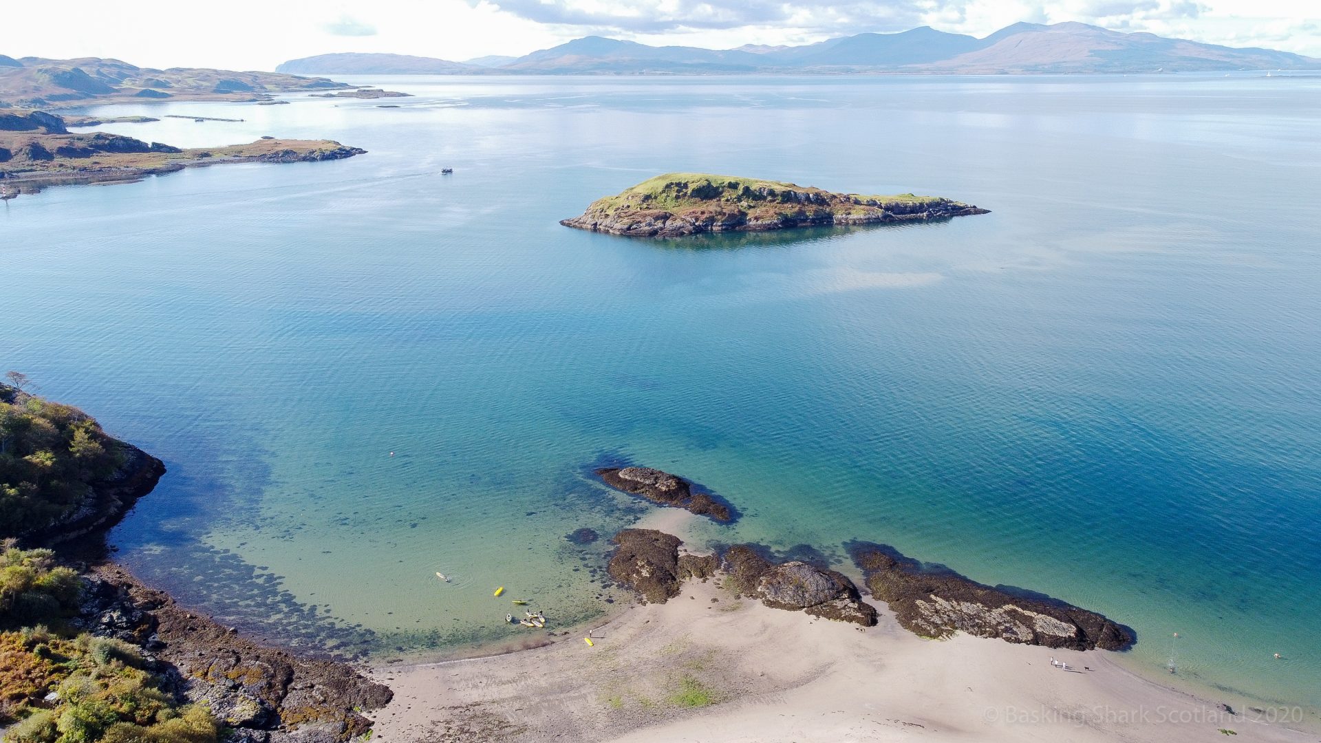 Top 5 Things To Do In Oban - Basking Shark Scotland