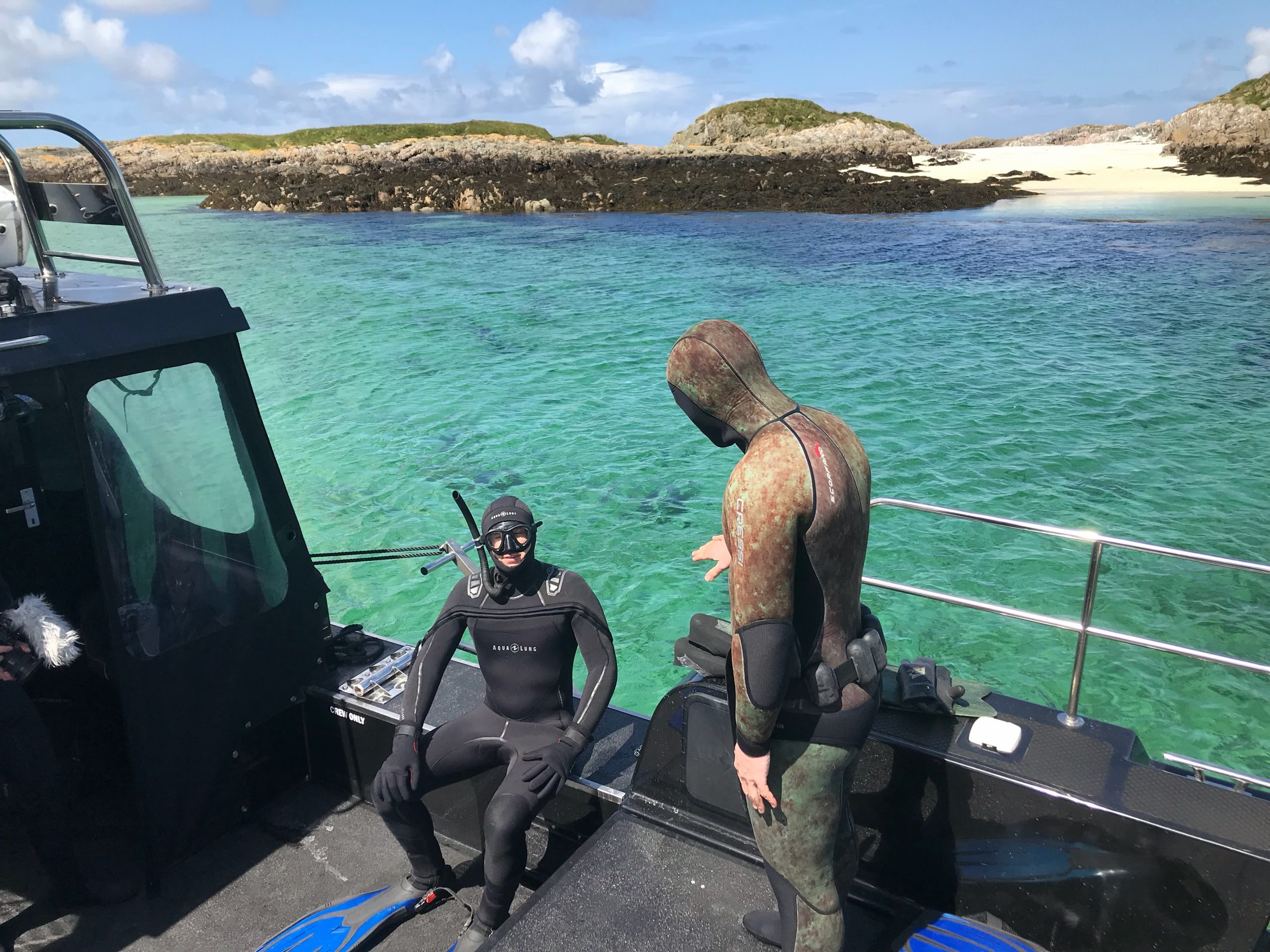 Swimming & Snorkelling - Basking Shark Scotland
