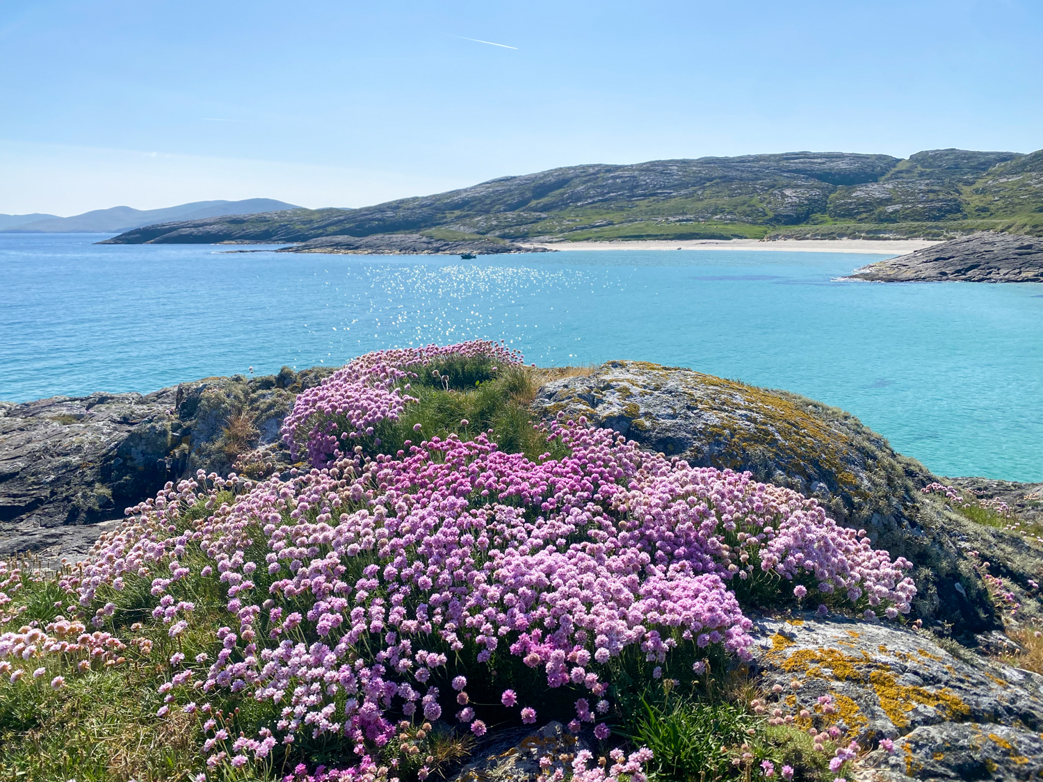 Best ever Outer Hebrides trip! Barra & St Kilda - Basking Shark Scotland