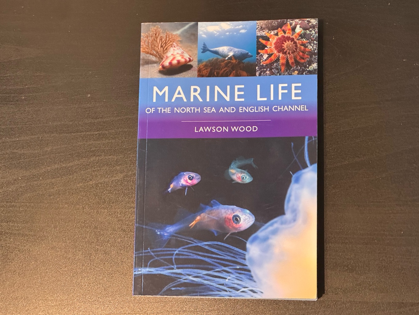 New Book - Marine Life of the North Sea & English Channel - Basking ...