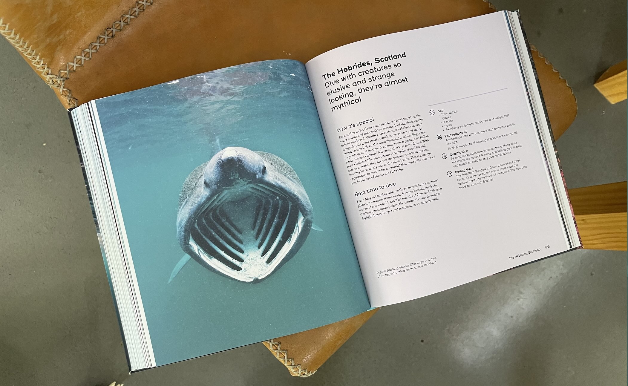 Basking Sharks Feature in Ultimate Dive Sites Book - Basking Shark Scotland