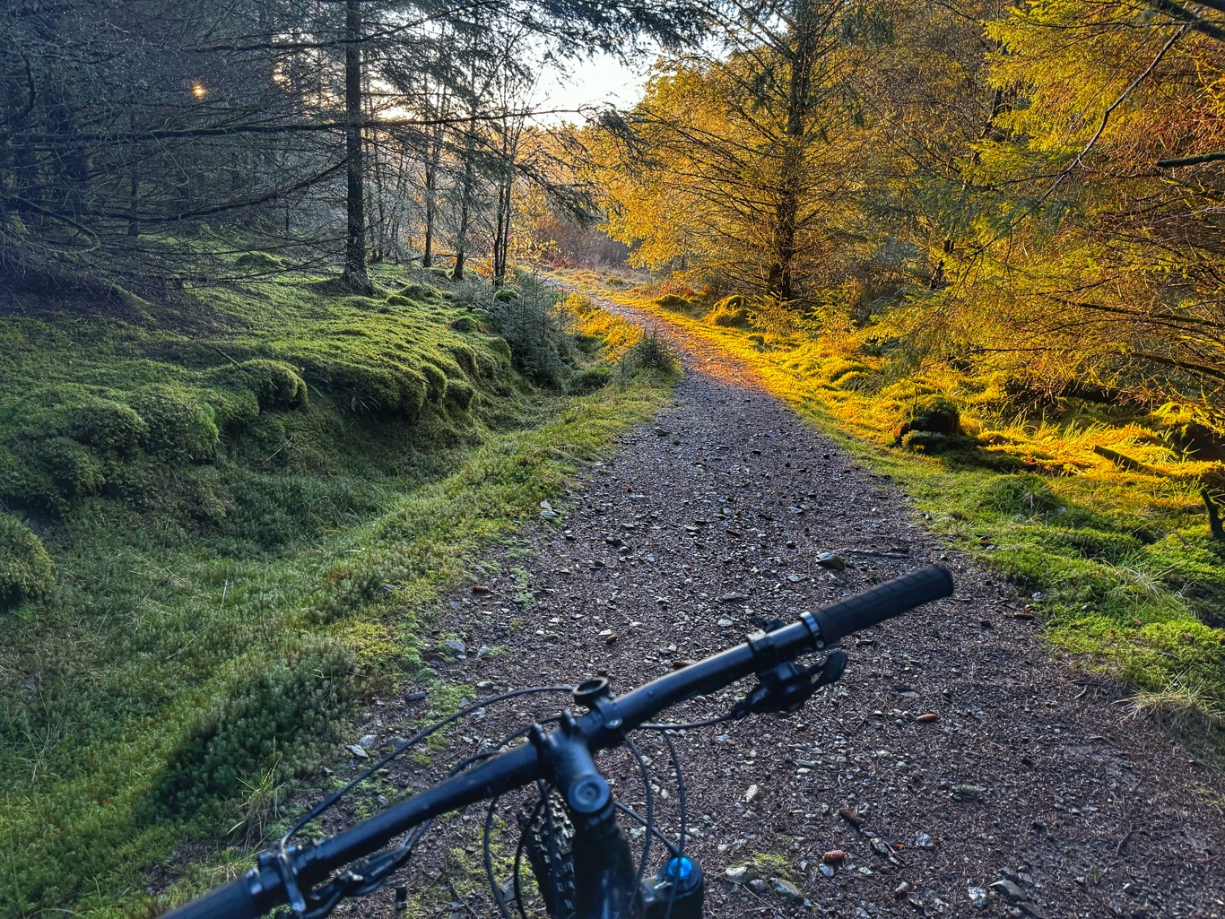 Mountain Biking Scotland - Basking Shark Scotland